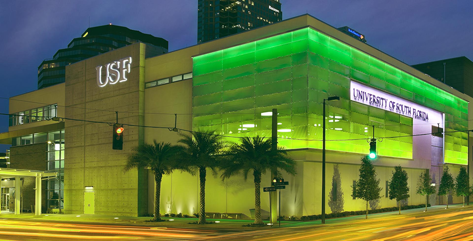 USF Center for Advanced Medical Learning - Borrell Electric